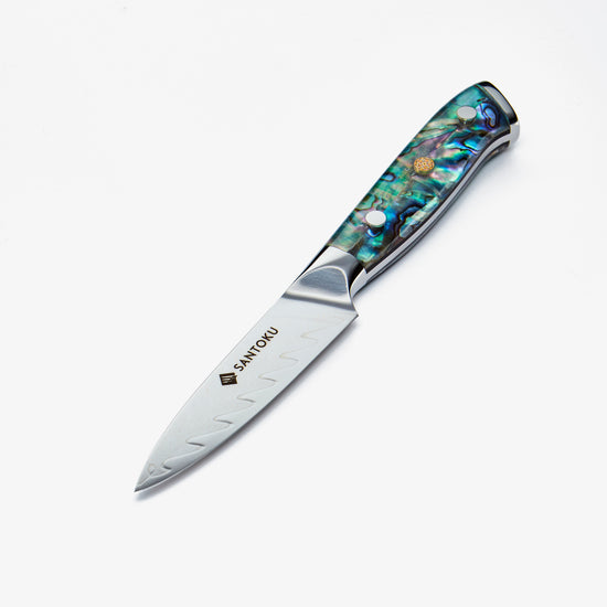 Chikashi 3.5" Fruit Knife – 67-Layer VG10 Damascus, Abalone Handle ...
